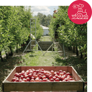 Partnerships - Forager Foods