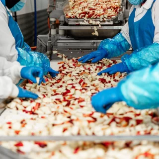 Corporate - Forager Foods